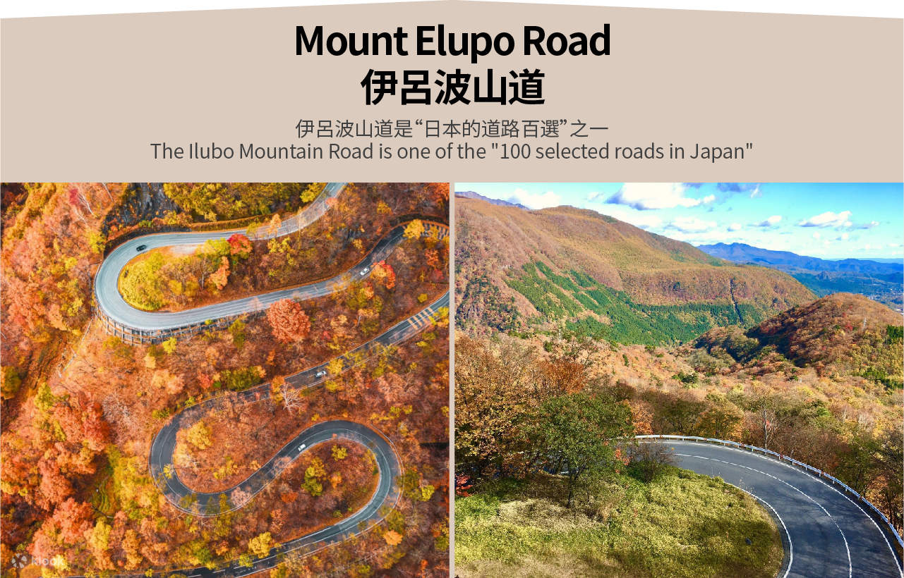 [Nikko & Gunma 2-Day Tour] Toshogu Shrine & Iroha Mountain Trail ...